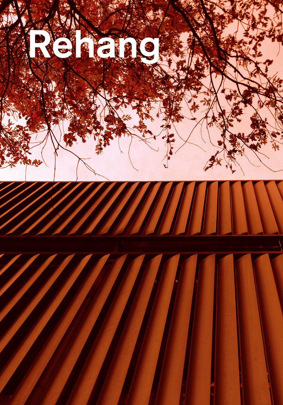 Rehang | Collezione Maramotti